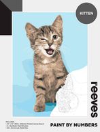 Paint By Numbers - Jasco Pty Ltd | Art & Craft Materials | Stationery ...