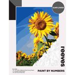 Paint By Numbers - Jasco Pty Ltd | Art & Craft Materials | Stationery ...